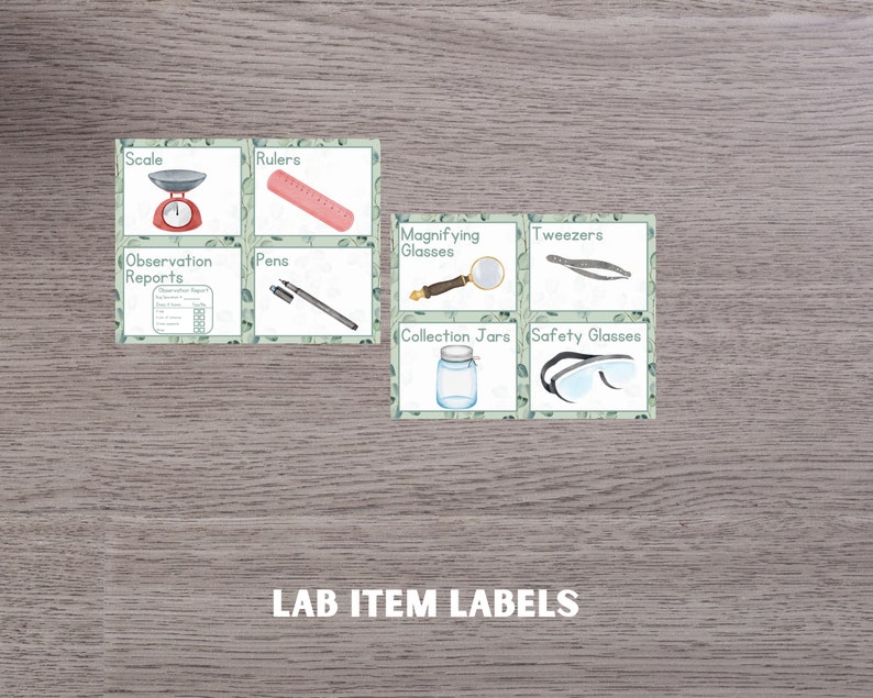 Entomology Lab Dramatic Play Set: Printable Pretend Play (PDF Download ...