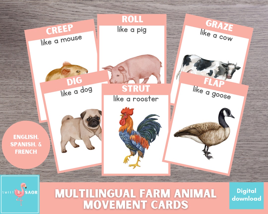 Animal Movement Cards, Multilingual Kids Movement Cards, Action Cards ...
