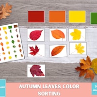 Autumn Flashcard,fall Vocabulary,nature Cards,autumn Montessori,autumn ...