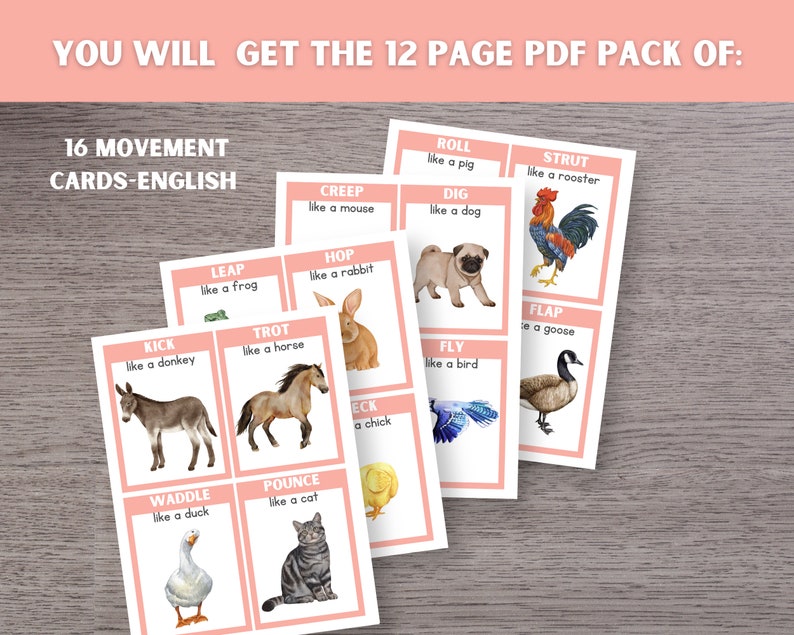 Animal Movement Cards, Multilingual Kids Movement Cards, Action Cards ...