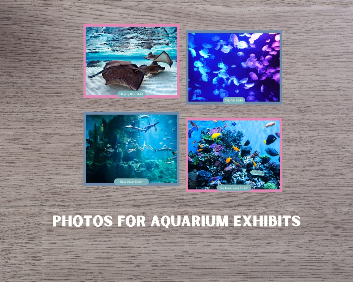 Aquarium Dramatic Play, Pretend Play Printable, Classroom Dramatic Play ...