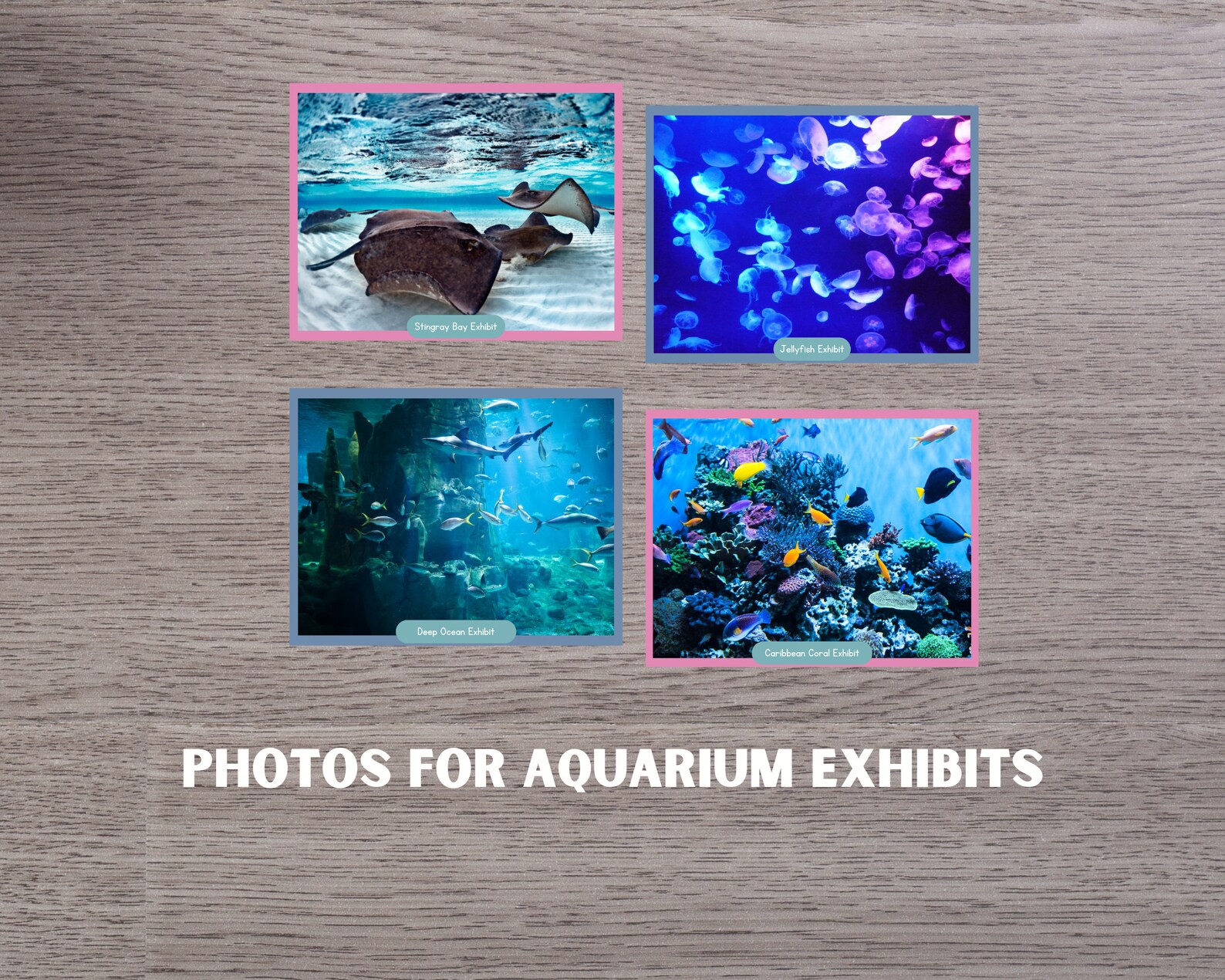 Aquarium Dramatic Play, Pretend Play Printable, Classroom Dramatic Play ...