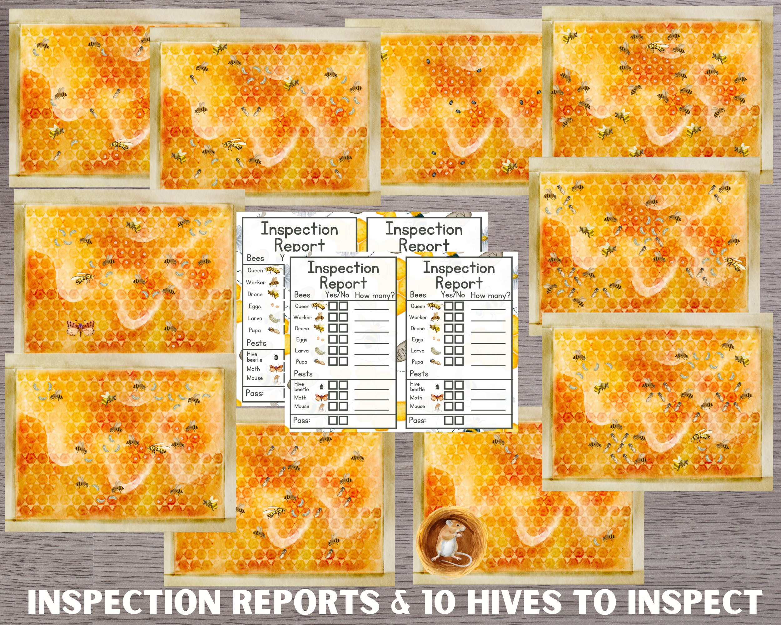 Beekeeper Pretend Play Honey Farm Dramatic Play Honey Bee Printable