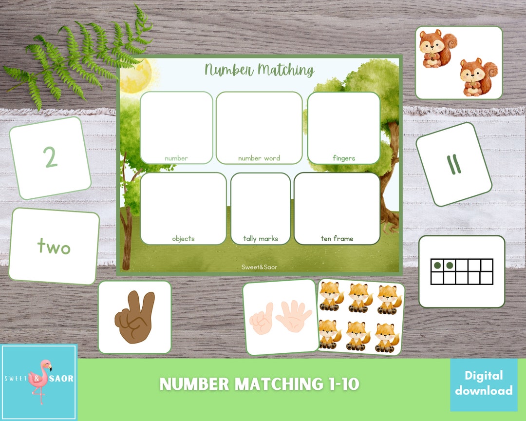 Number Matching Practice 1 to 10, Forest Animals Counting Activity ...