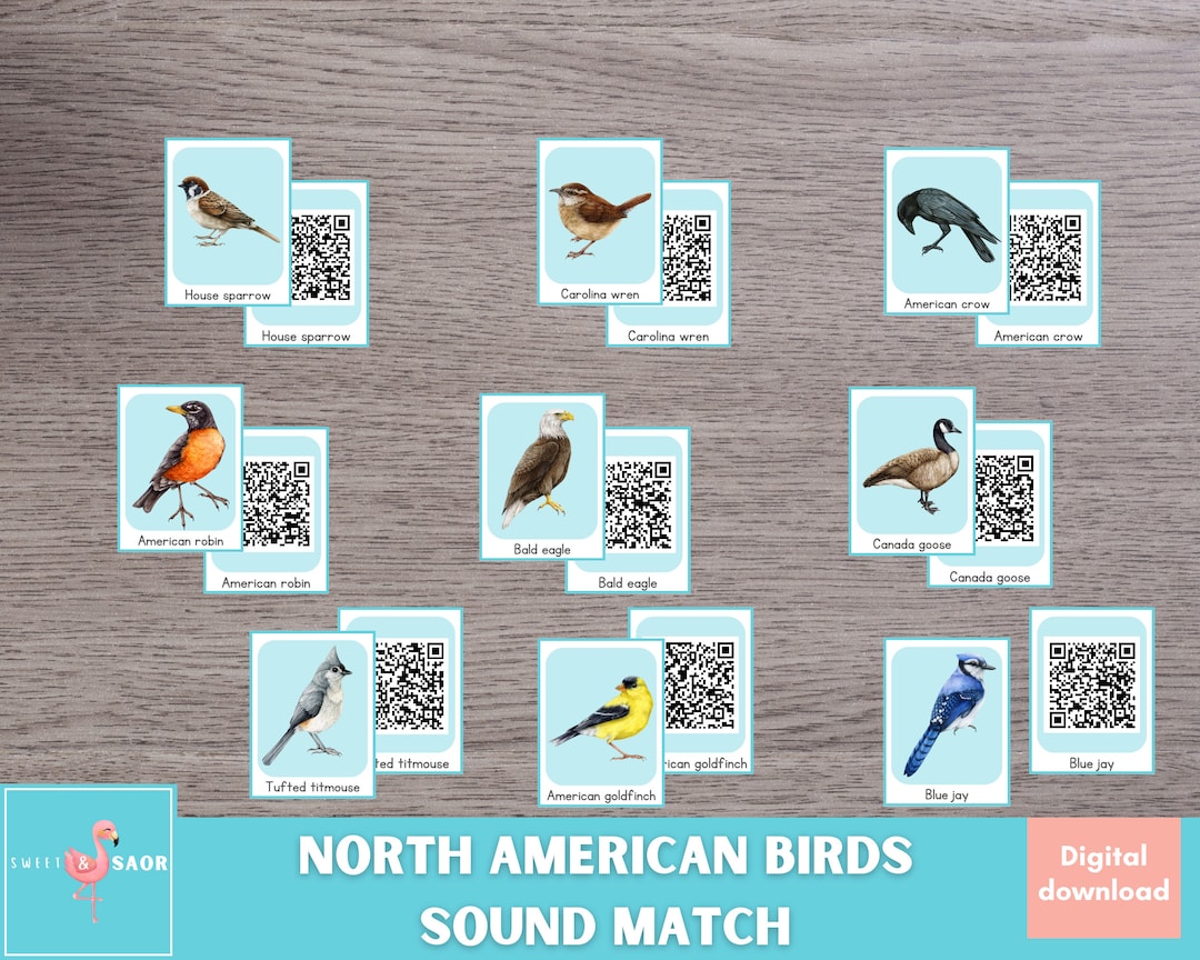 Birds and Their Sounds Printable, North American Bird Sound Identifier ...