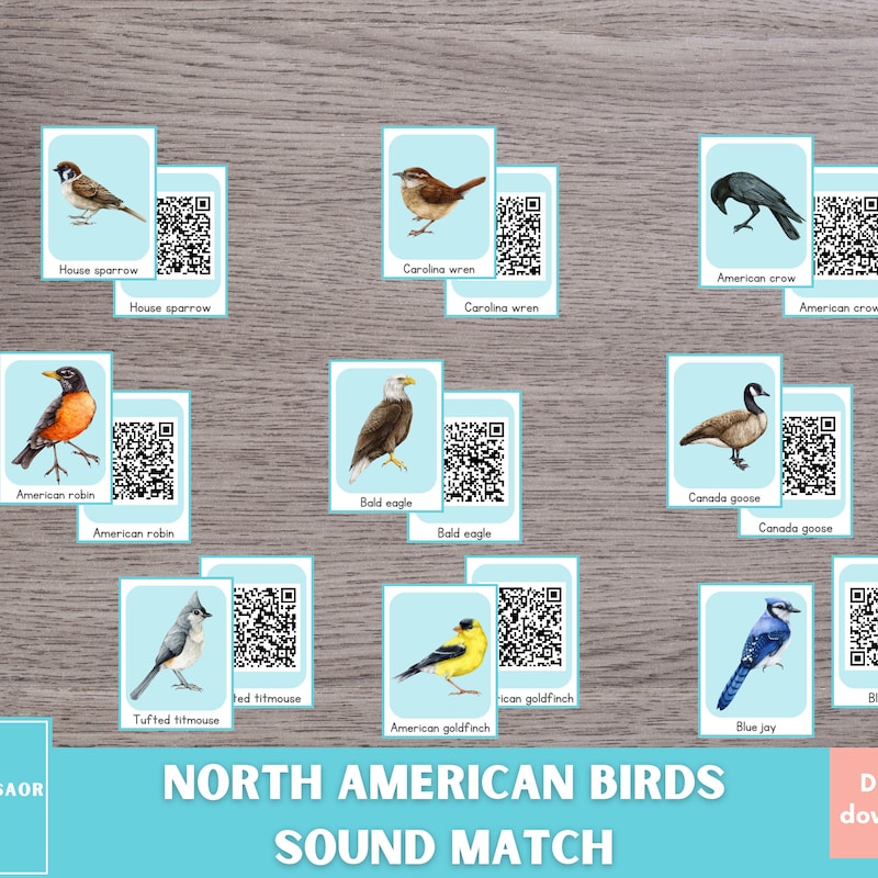 Game Birds of America - Etsy