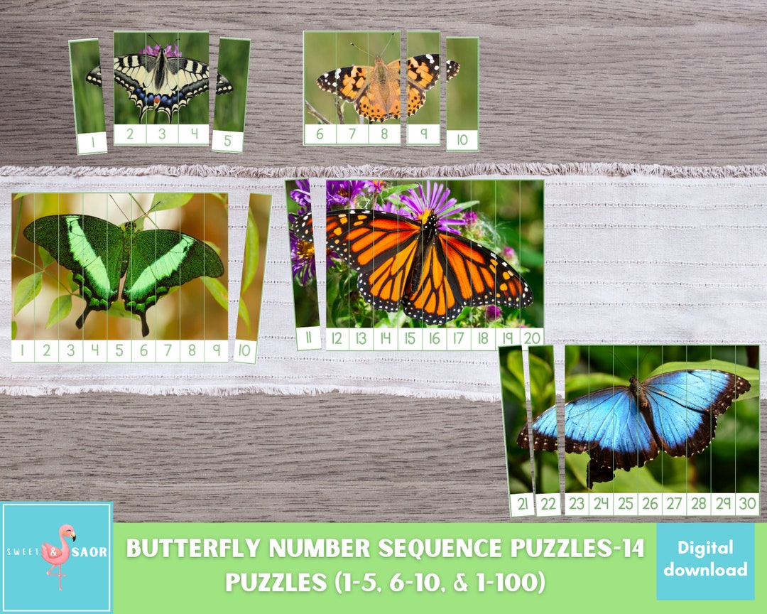 Butterfly Number Sequence Puzzles, Printable Insect Number Counting ...