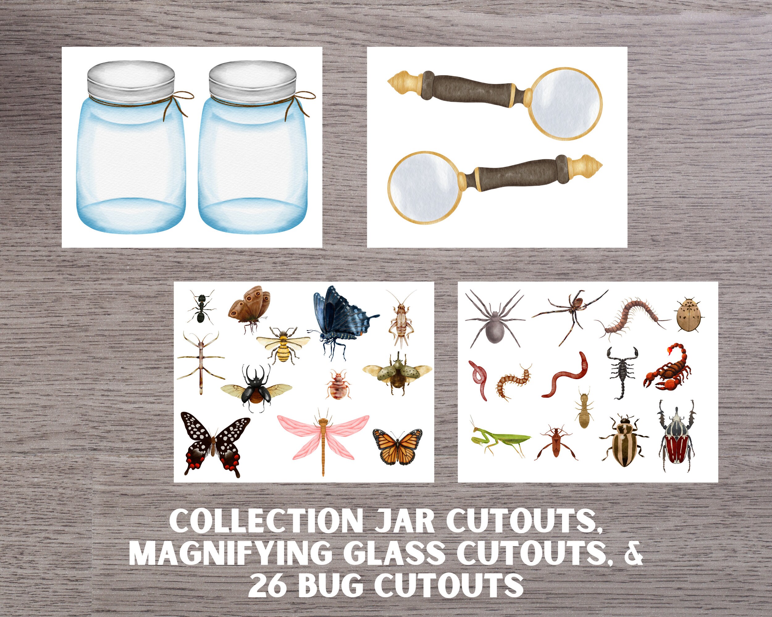 Entomology Lab Dramatic Play Set: Printable Pretend Play (PDF Download ...