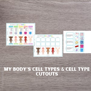 Animal Cell Anatomy Activity, Human Anatomy Busy Book Worksheet, Kids ...