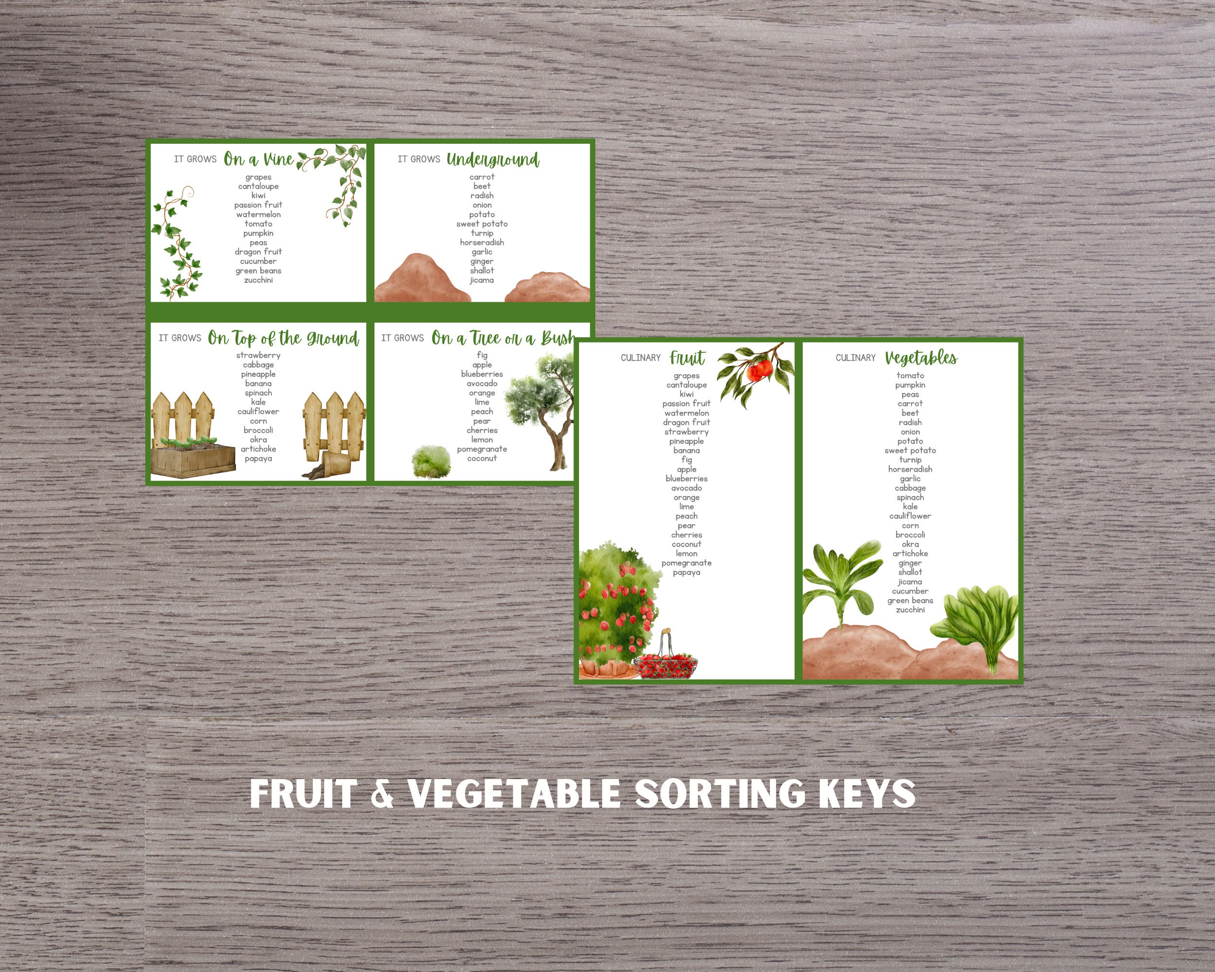 Fruits & Vegetables Sorting Mats: Montessori Harvest Game (digital ...