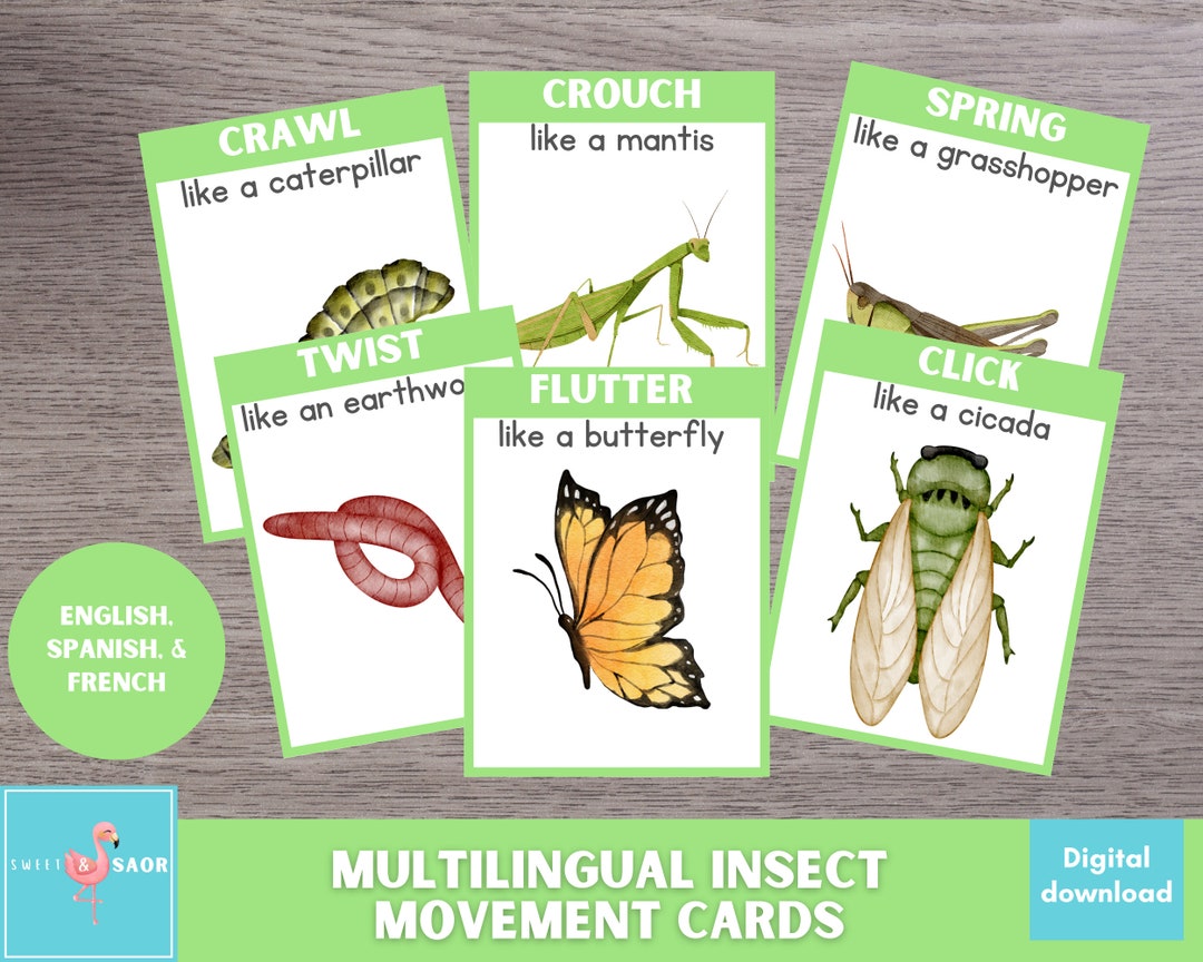 Insect Movement Cards, Multilingual Kids Action Cards, Preschool ...