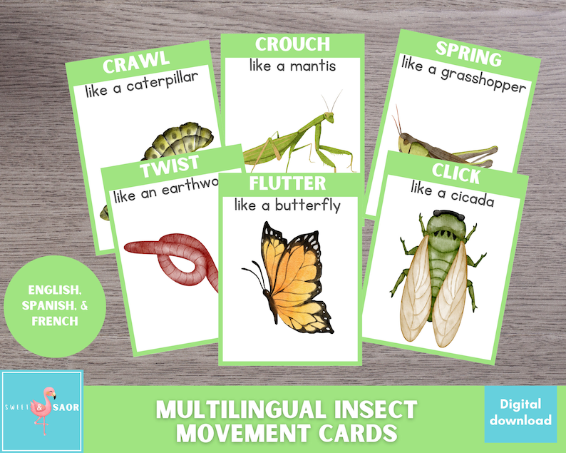 Insect Movement Cards, Multilingual Kids Action Cards, Preschool ...