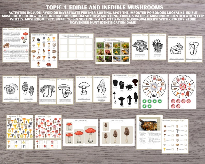 MUSHROOM Unit Study, Life Cycle, Anatomy, Nature Study, Science ...