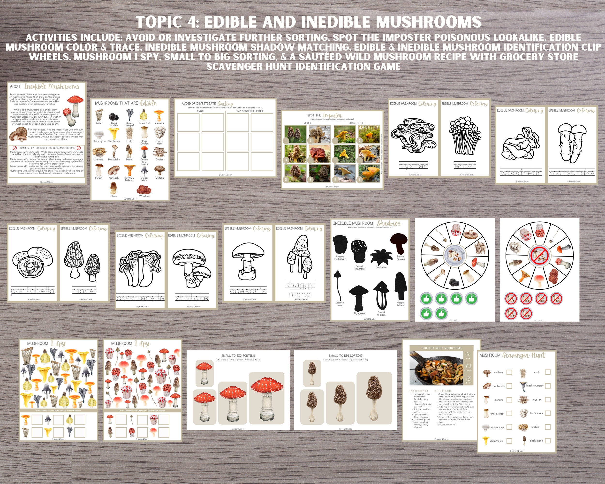 Mushroom Unit Study: Life Cycle, Anatomy, Identification (PDF Download ...