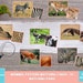 Animal Pattern Matching Printable Cards, Montessori Mammals of the ...