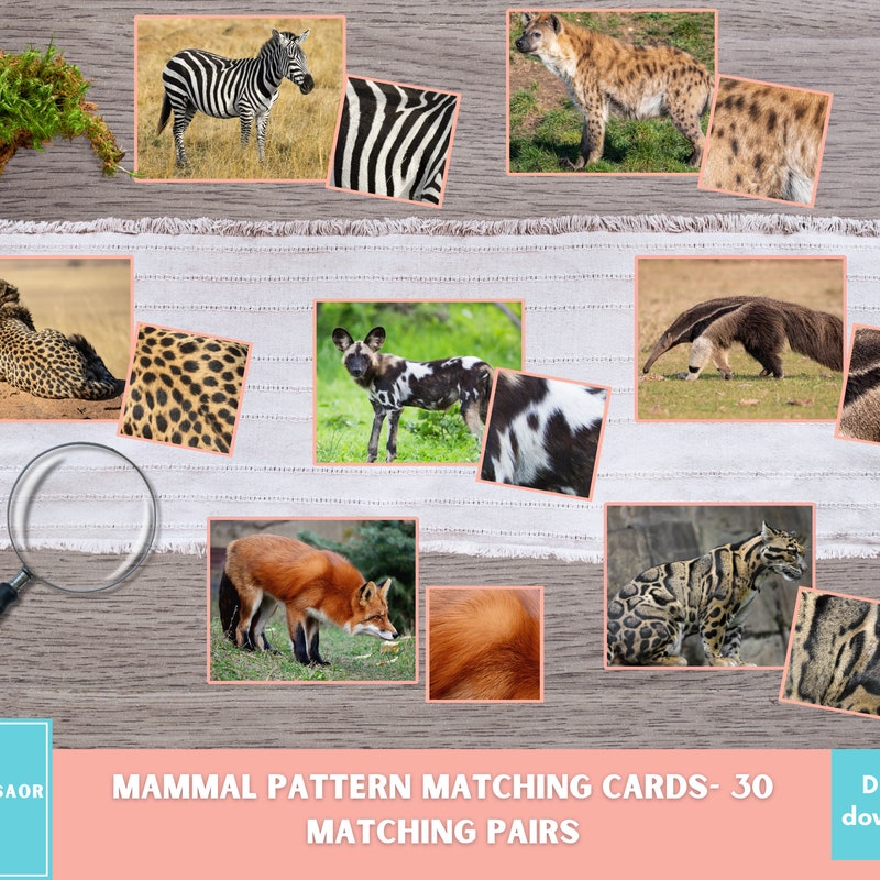 Animal Skin Fur Coat - Etsy UK