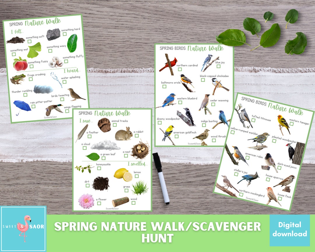 Spring Scavenger Hunt Printable, Spring Nature Walk, Outdoor Sensory ...