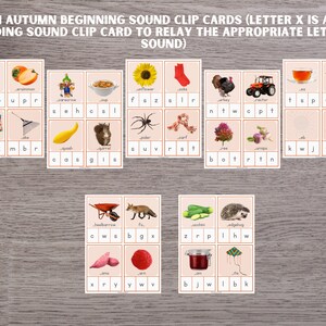 Autumn Beginning Sound Clip Cards, Fall First Letter Sounds Clip Cards ...
