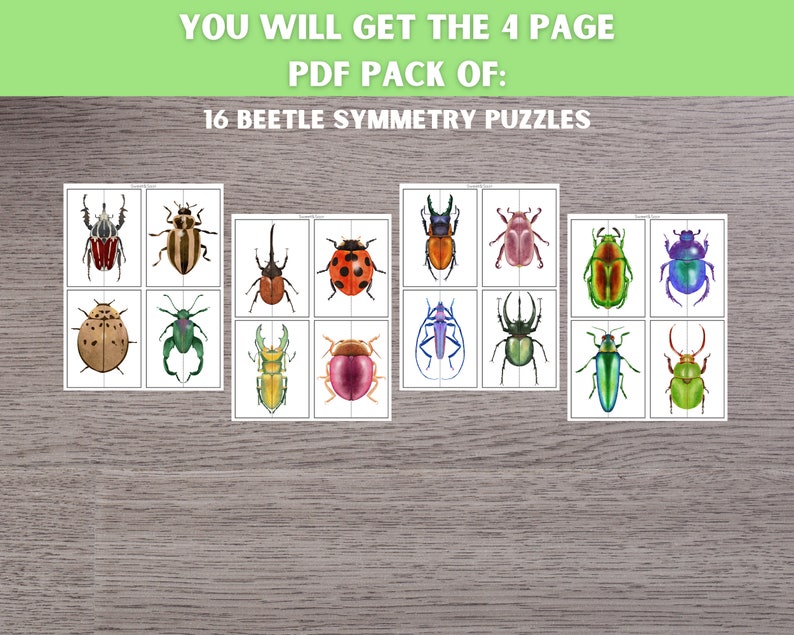 Beetles Symmetry Puzzles, Montessori Inspired Printable, Matching ...