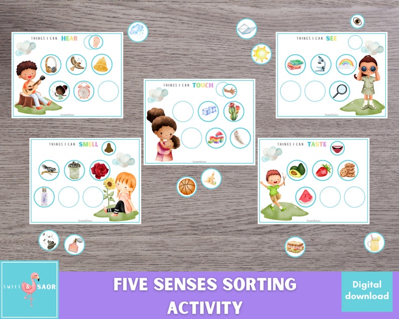 Five Senses Sorting Activity Printable, 5 Senses Sorting, Human Body ...