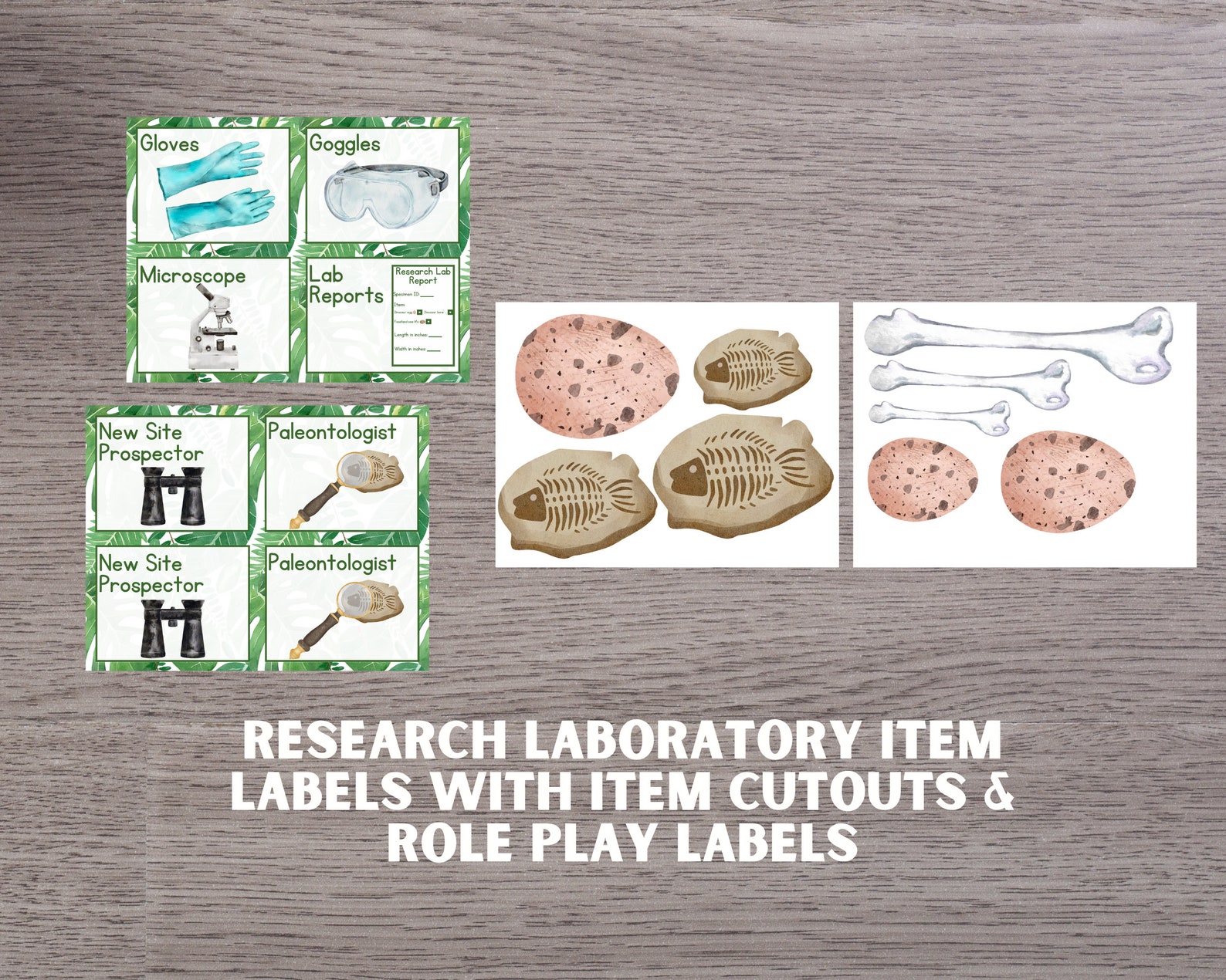 Dinosaur Dig Dramatic Play Set: Printable Paleontology Pretend Play ...