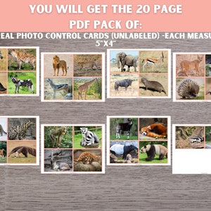 Animal Pattern Matching Printable Cards, Montessori Mammals of the ...