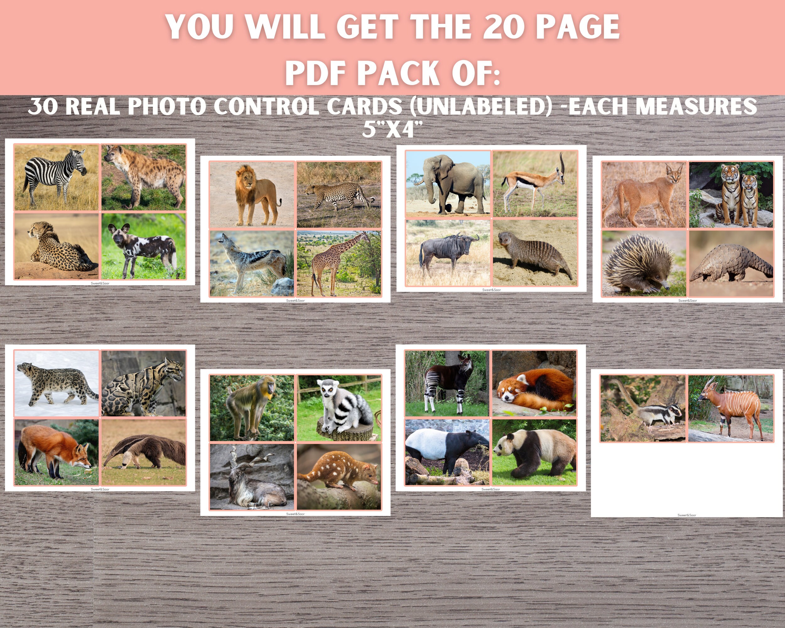 Animal Pattern Matching Printable Cards, Montessori Mammals of the ...