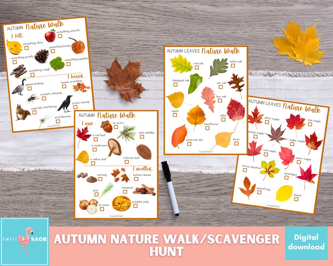 Autumn Scavenger Hunt Printable, Fall Nature Walk, Outdoor Sensory ...