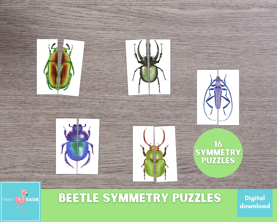 Beetles Symmetry Puzzles, Montessori Inspired Printable, Matching ...