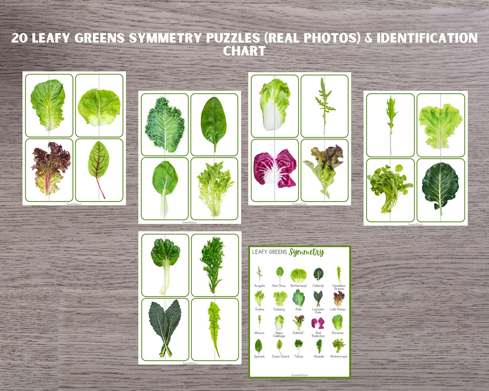 Nature Symmetry Puzzles, Printable Flower Matching Cards, Fruits Slices ...