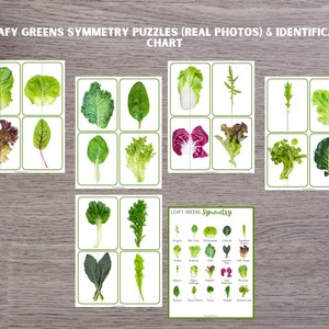 Nature Symmetry Puzzles, Printable Flower Matching Cards, Fruits Slices ...