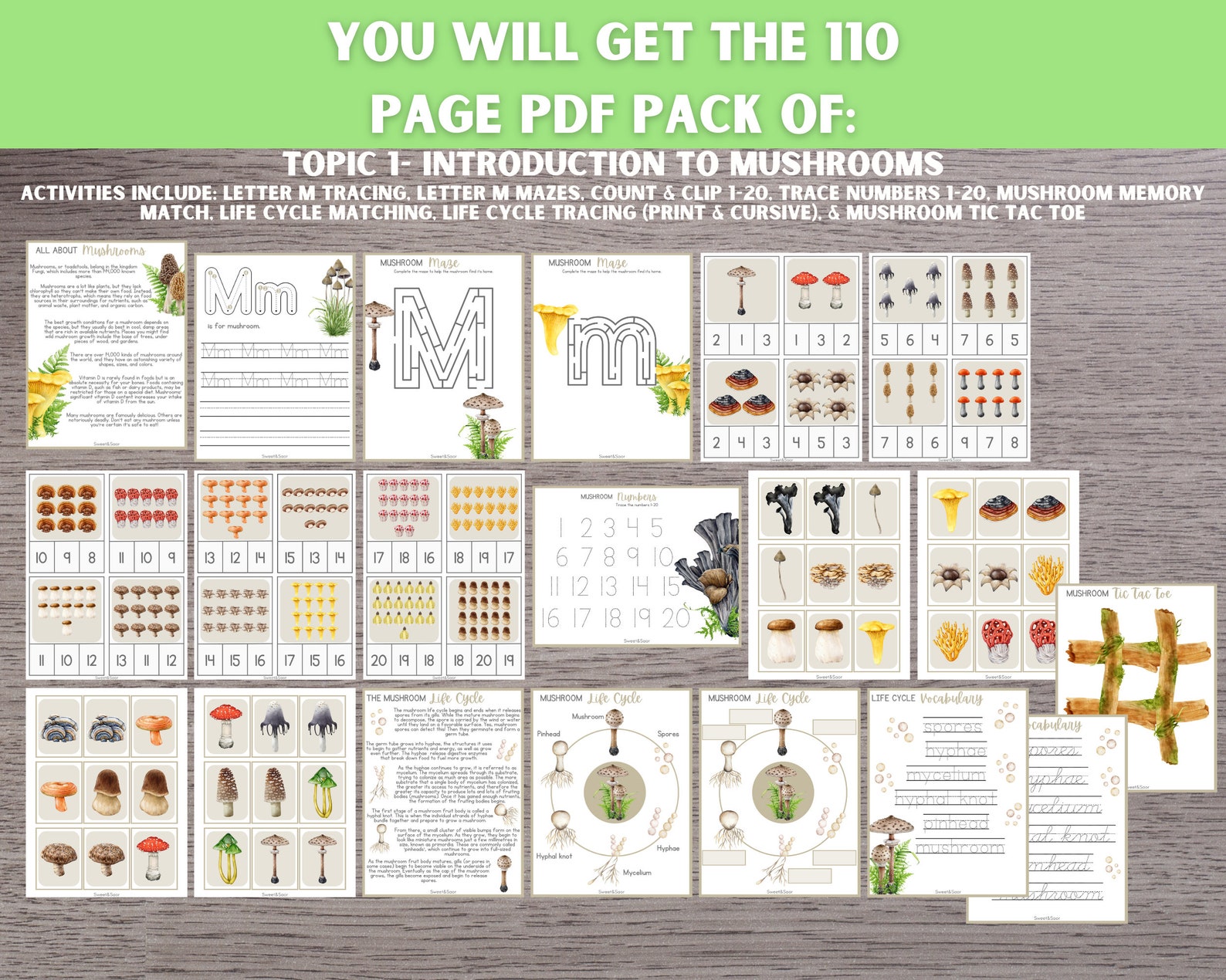 Mushroom Unit Study: Life Cycle, Anatomy, Identification (PDF Download ...