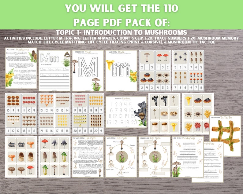 Mushroom Unit Study: Life Cycle, Anatomy, Identification (PDF Download ...