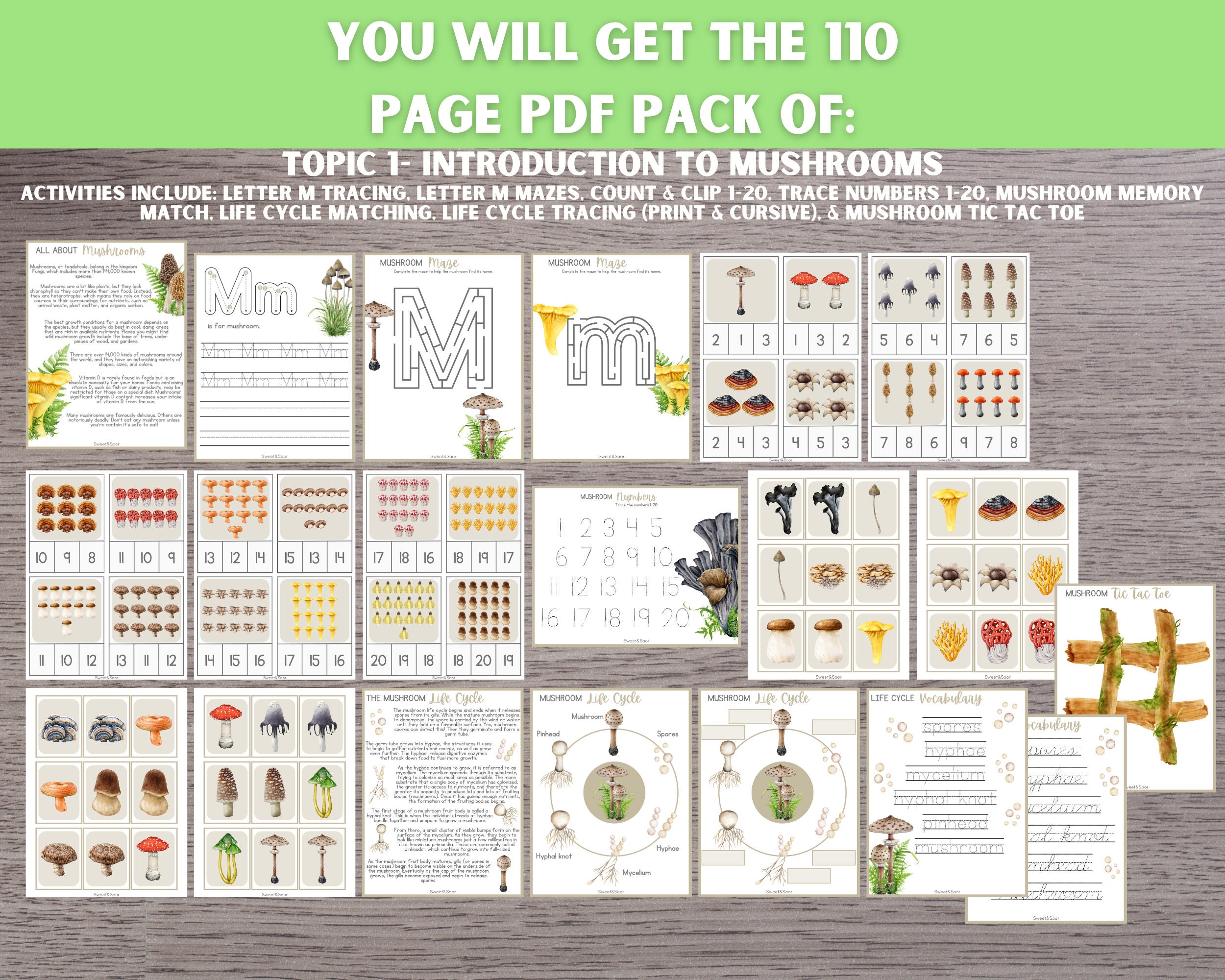 Mushroom Unit Study: Life Cycle, Anatomy, Identification (PDF Download ...