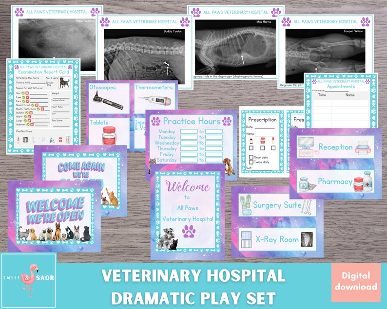Vet Clinic Pretend Play Printable, Vet Dramatic Play Printable ...