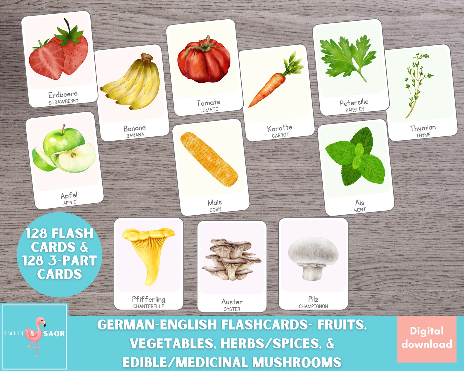 GERMAN Flashcards Bundle, Bilingual Nomenclature Cards, German English ...