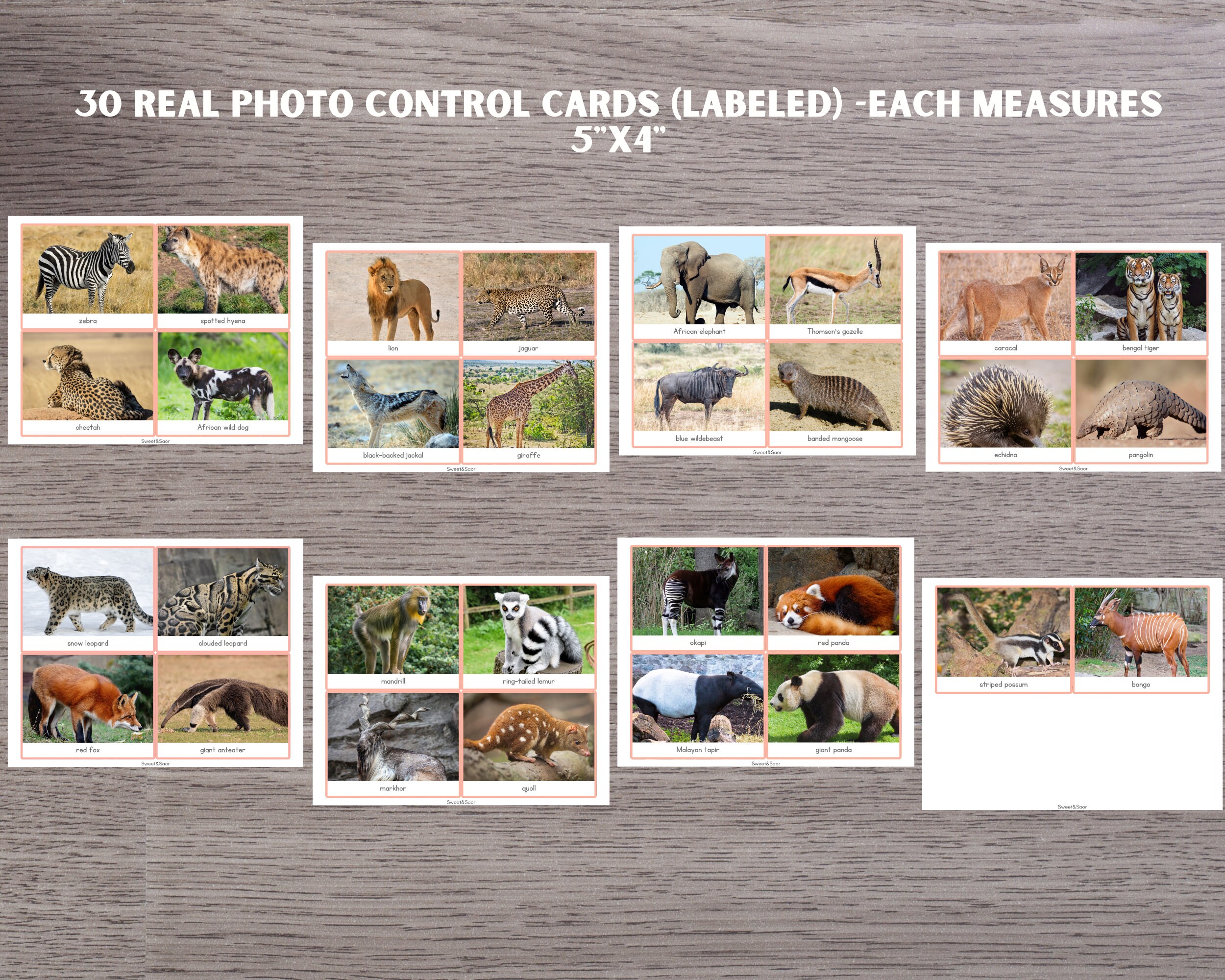 Animal Pattern Matching Printable Cards, Montessori Mammals of the ...