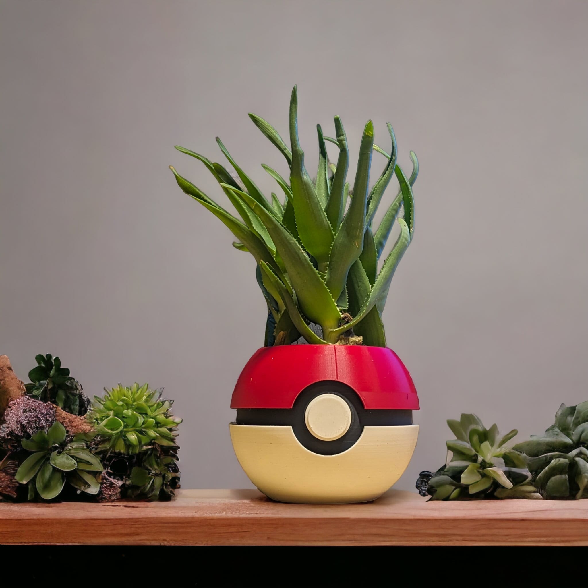 Pokemon Pokeball Planter - Etsy