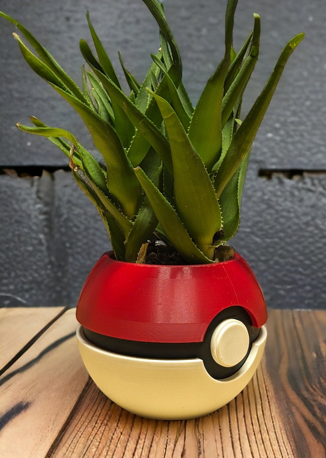 Pokemon Pokeball Planter - Etsy