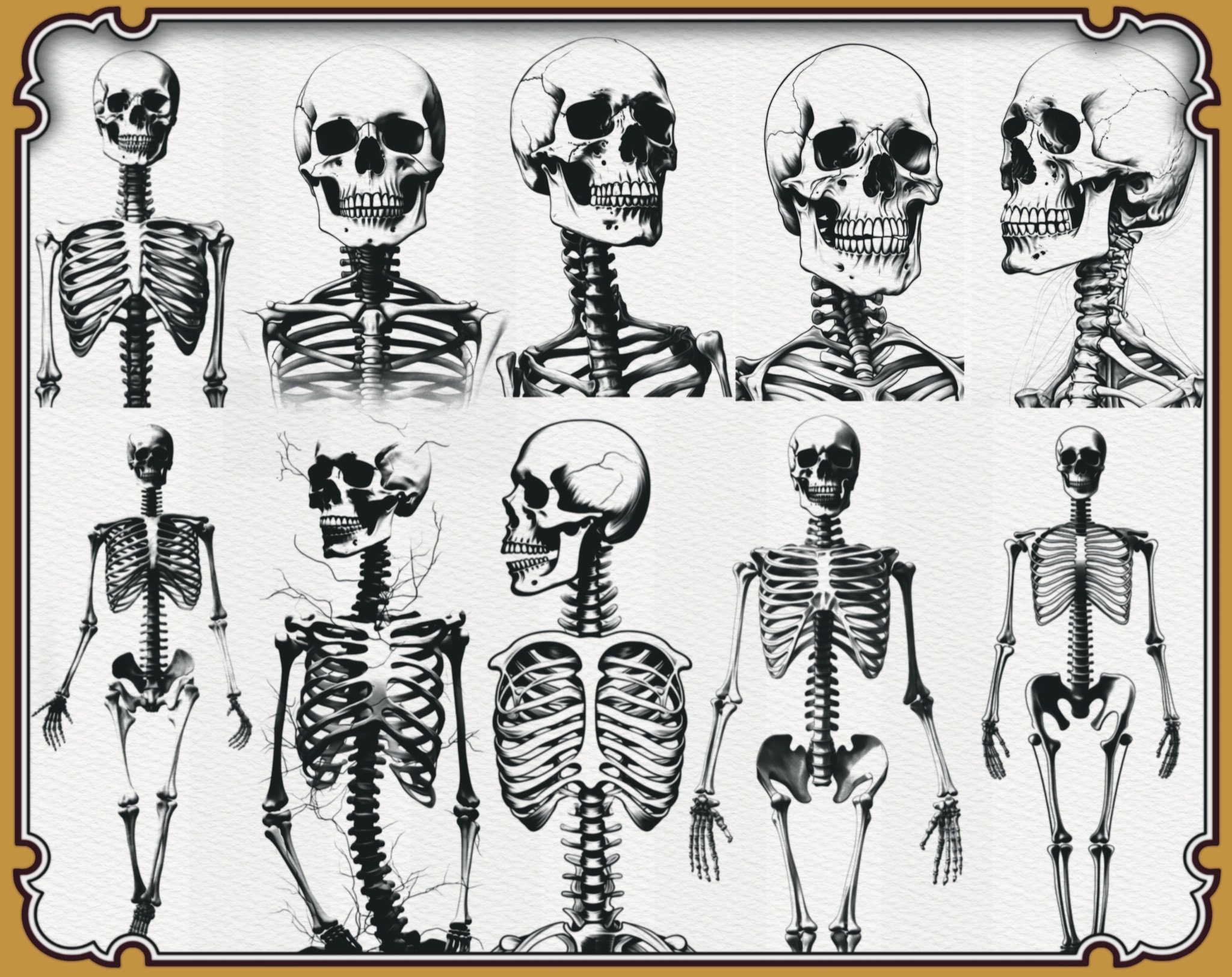 Skeleton Stamps for Procreate PNG Files Skeleton Brushes - Etsy