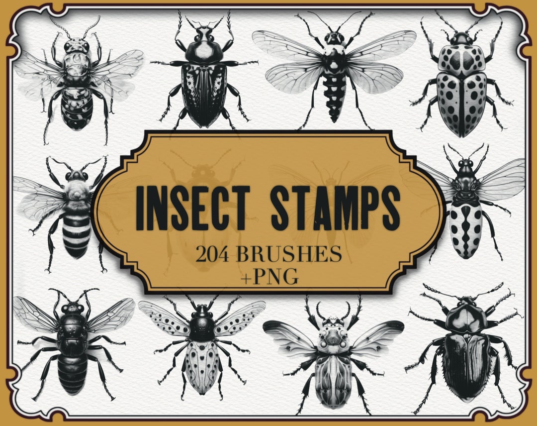 Insect Stamps for Procreate|+png Files| Procreate Insects Brushes ...