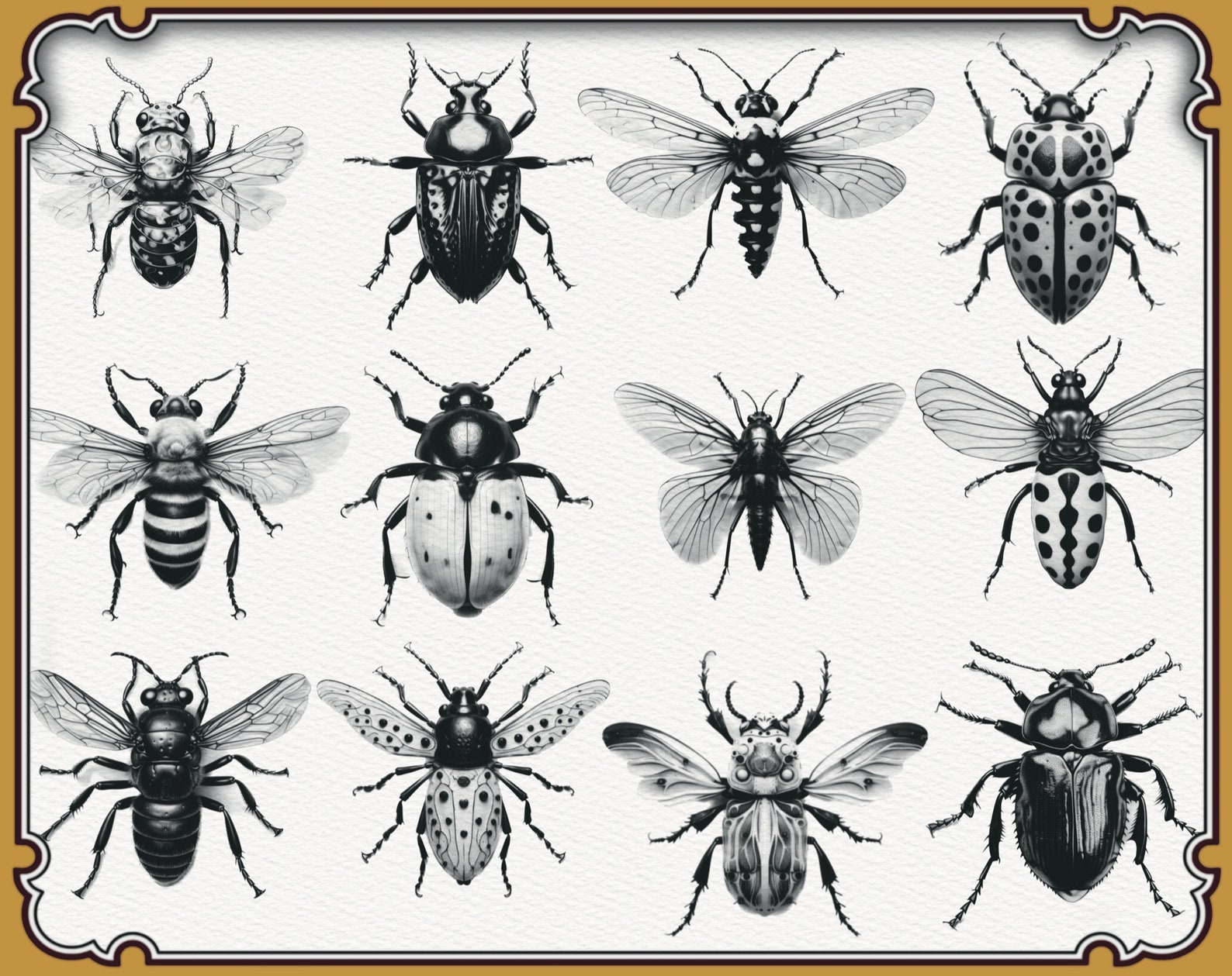 Insect Stamps for Procreate|+png Files| Procreate Insects Brushes ...