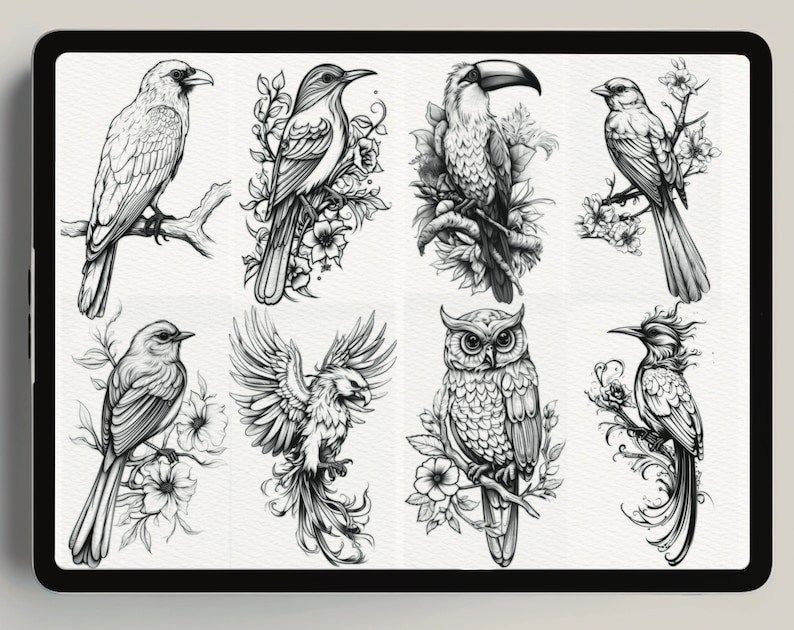 400 Procreate Bird Stamps| Realistic Bird Brushes for Procreate ...