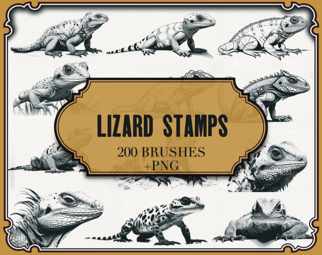 Lizard Stamps for Procreate|+png Files|digital Lizard Illustrations ...