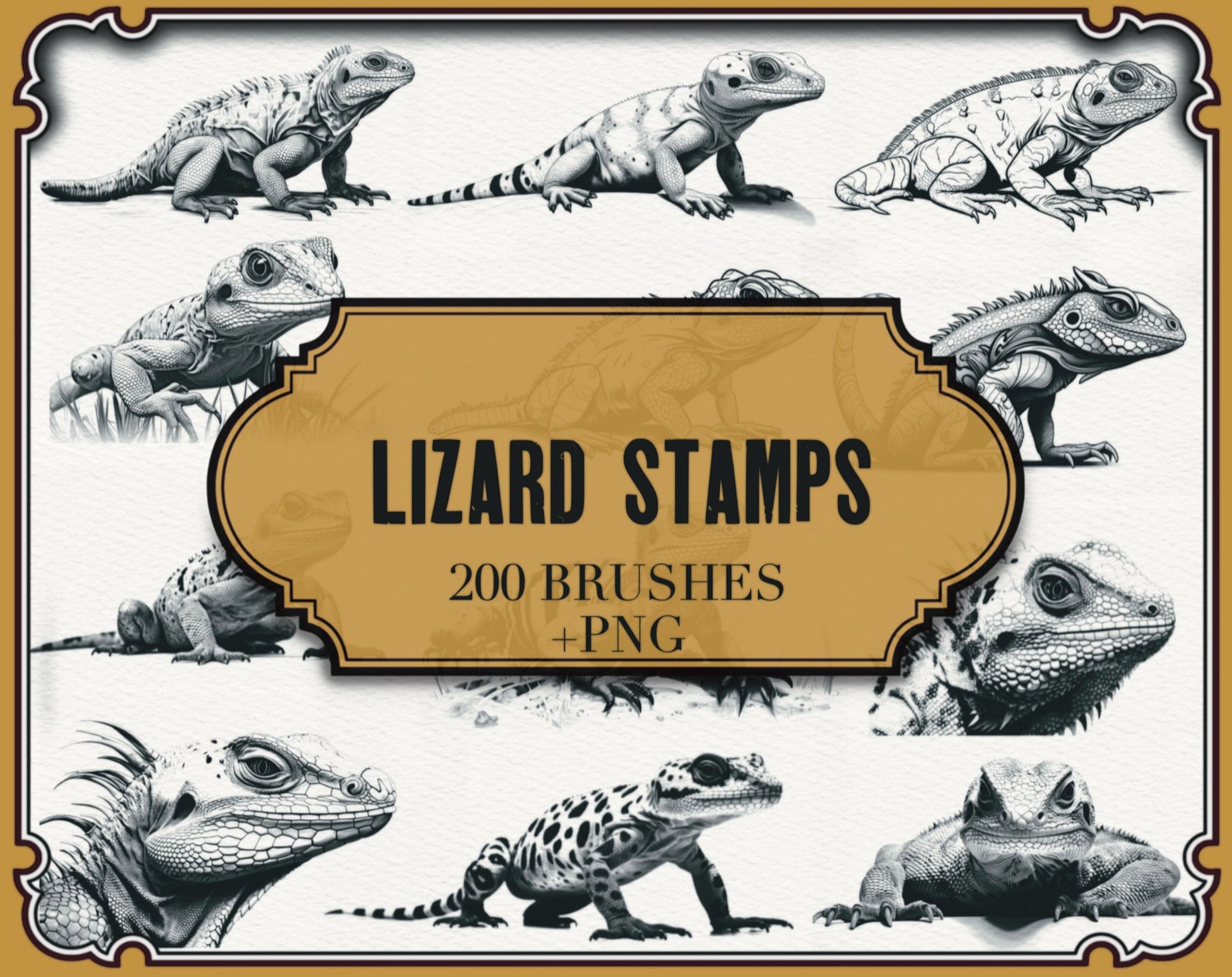 Lizard Stamps for Procreate|+png Files|digital Lizard Illustrations ...