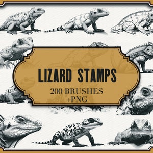 Lizard Stamps for Procreate|+png Files|digital Lizard Illustrations ...