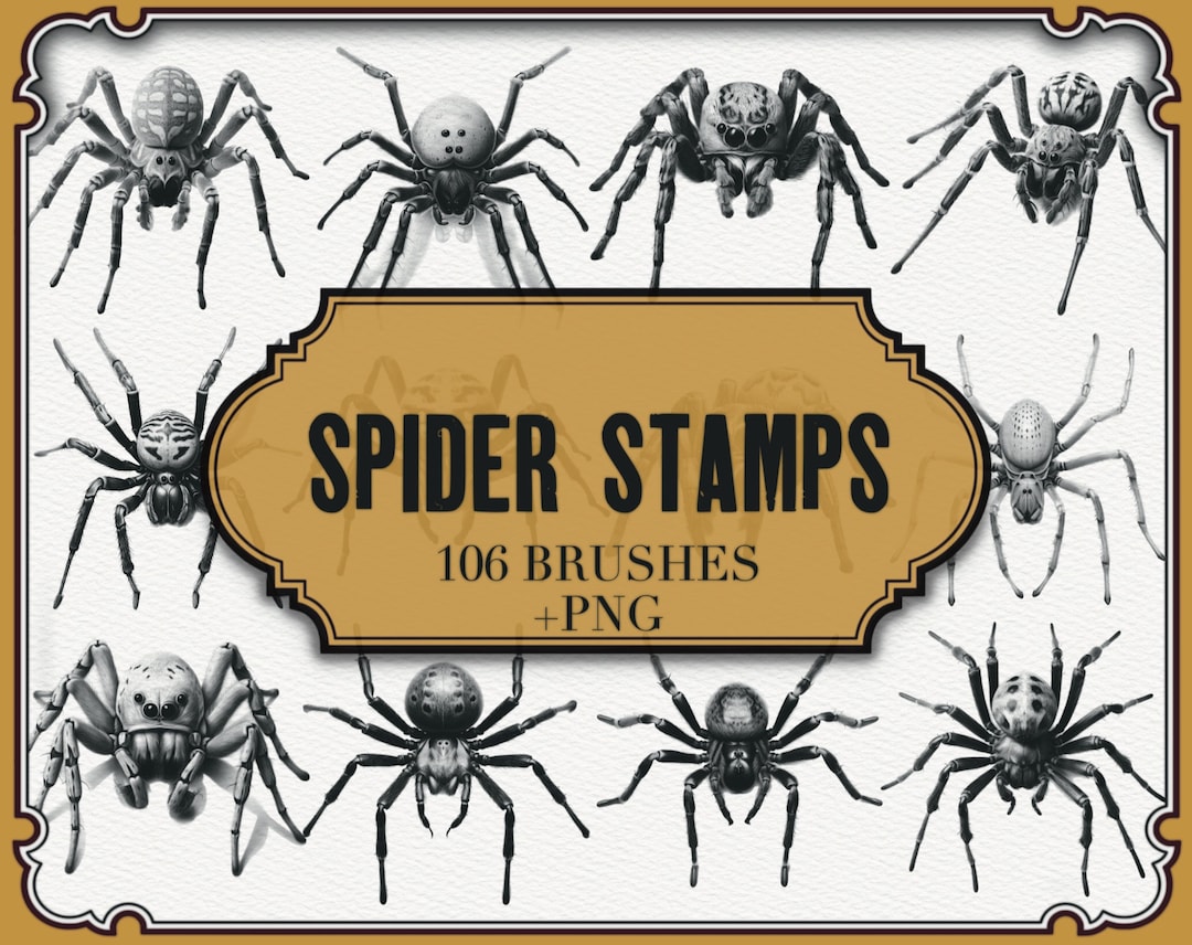 Spider Stamps For Procreate Png Files Procreate Brush Set Spider Designs Procreate Spider