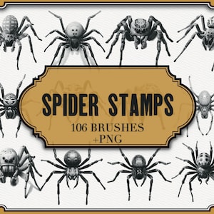 Spider Stamps for Procreate| + PNG Files| Procreate Brush-set Spider ...