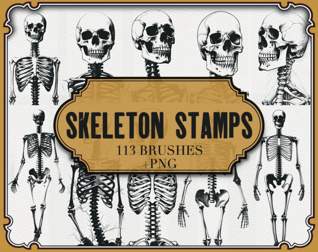 Skeleton Stamps for Procreate| +PNG Files| Skeleton Brushes for Procreate| Skull| Bone| Witch ...