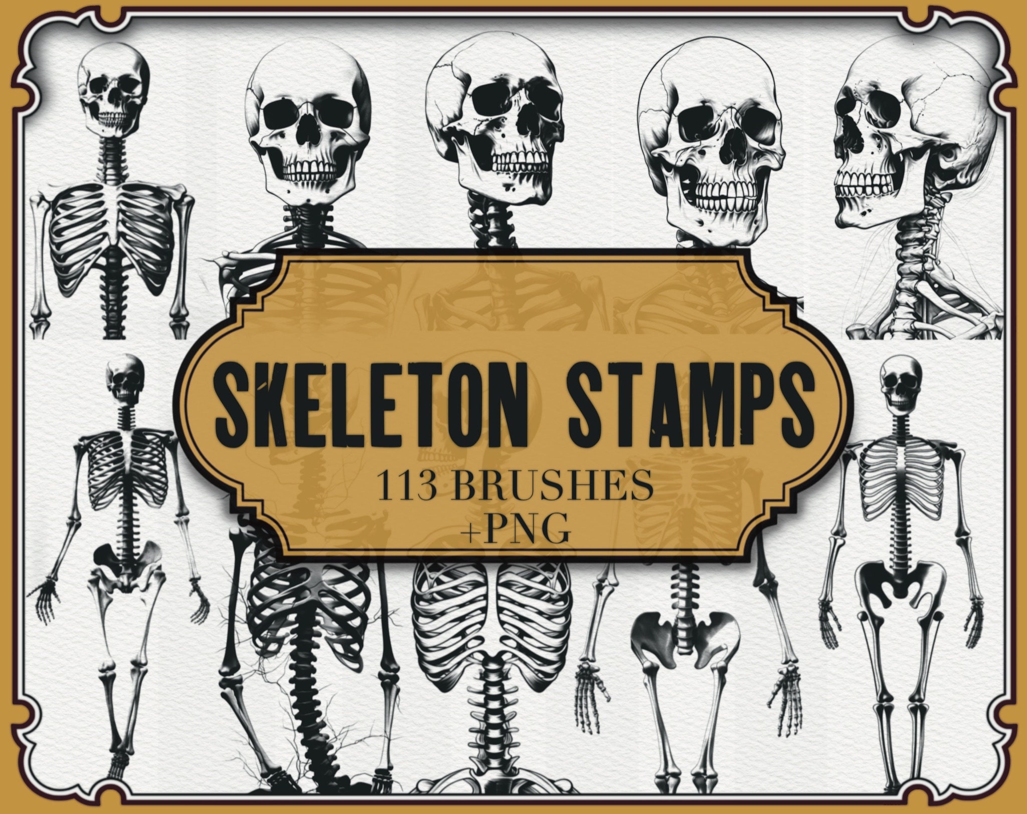Skeleton Stamps for Procreate PNG Files Skeleton Brushes for Procreate Skull Bone Witch Human ...